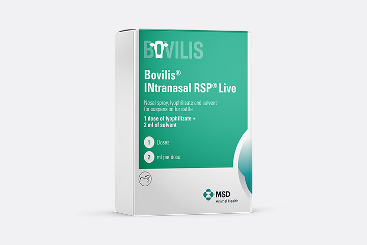 Cattle Vaccines - Bovilis - Protect the future