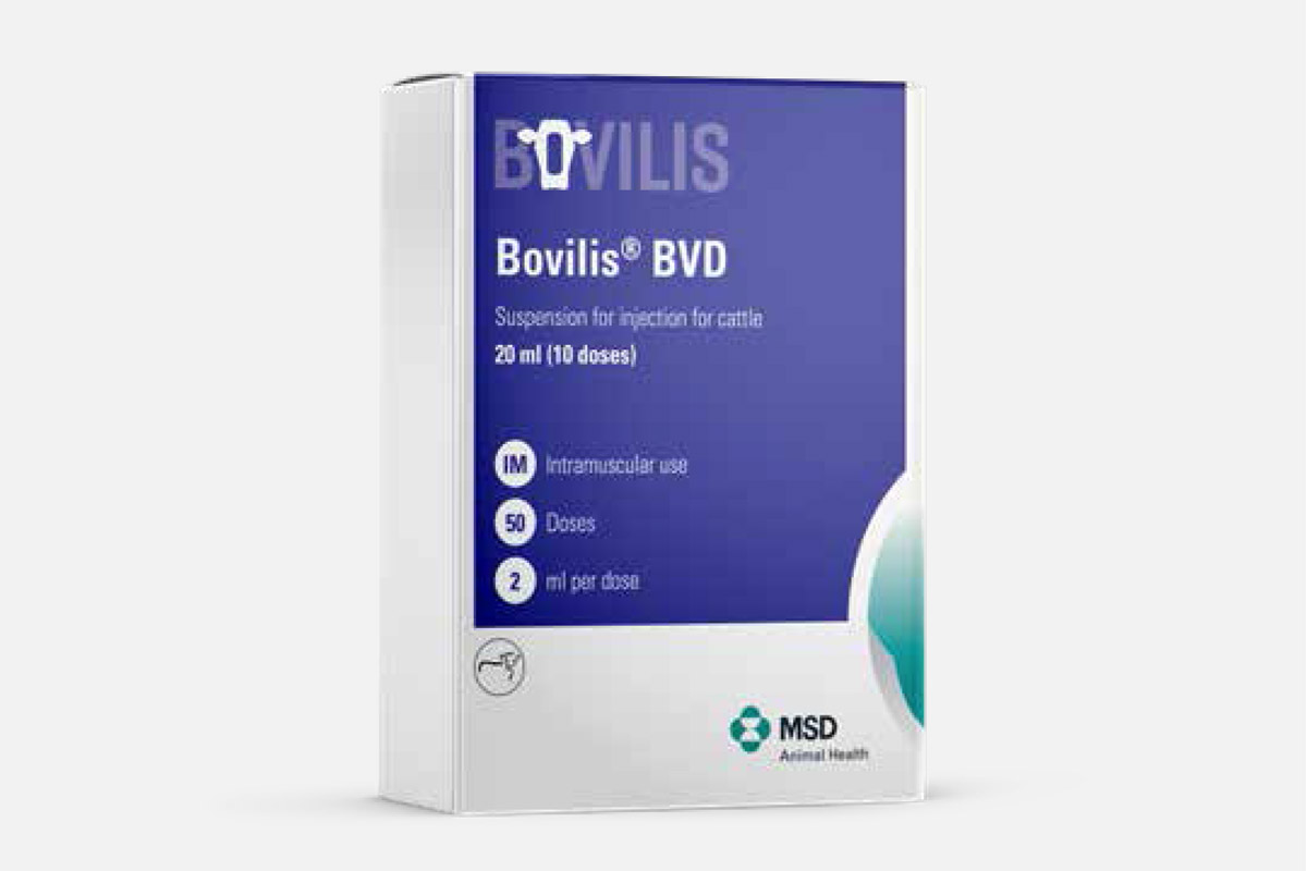 Bovilis Cryptium - Bovilis - Protect the future
