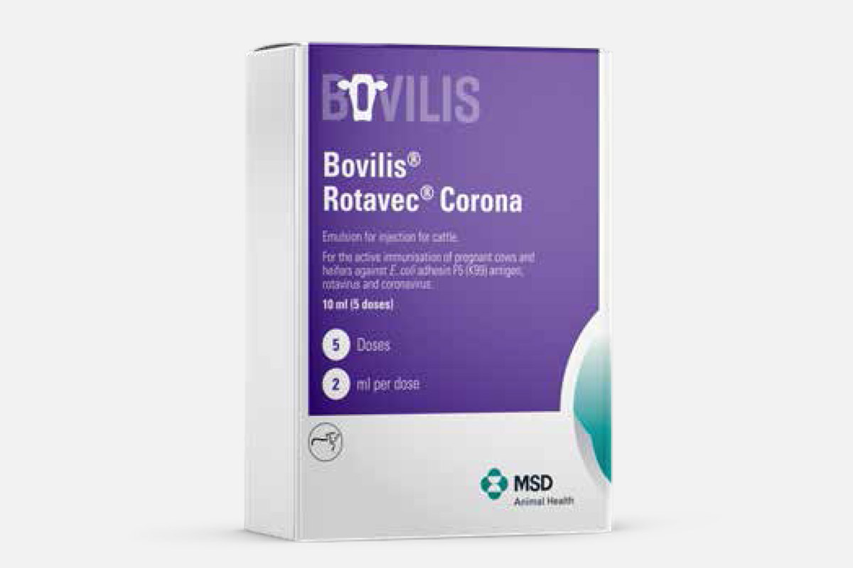 Bovilis Lumpyvax-E - Bovilis - Protect the future